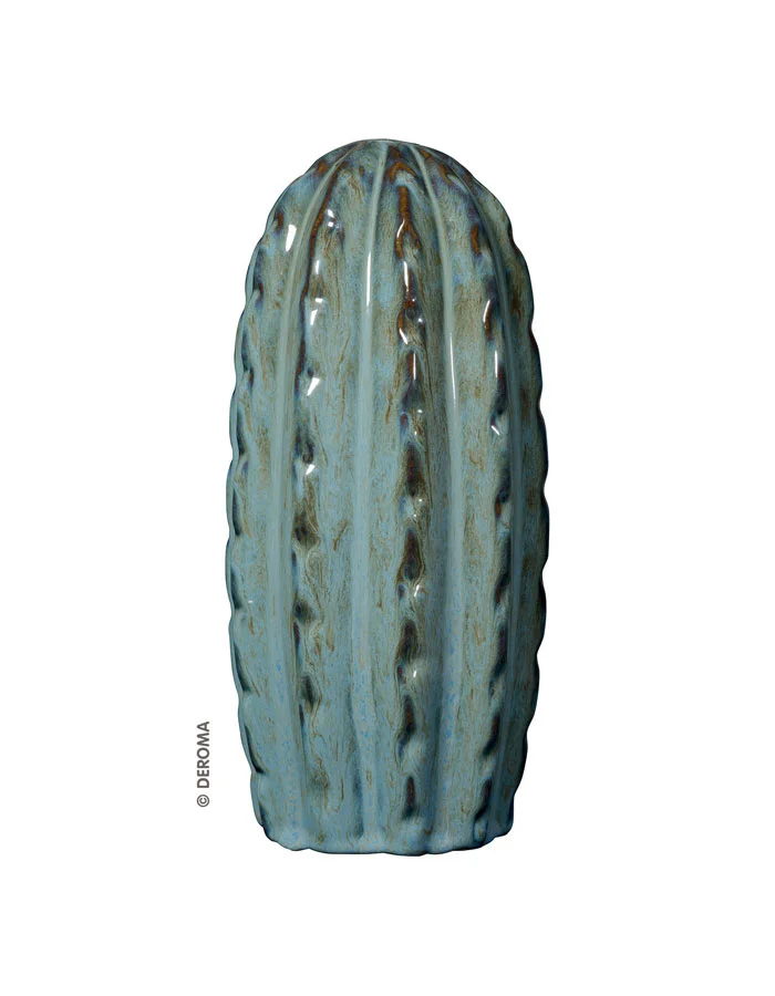 Cactus Pachy Horizon